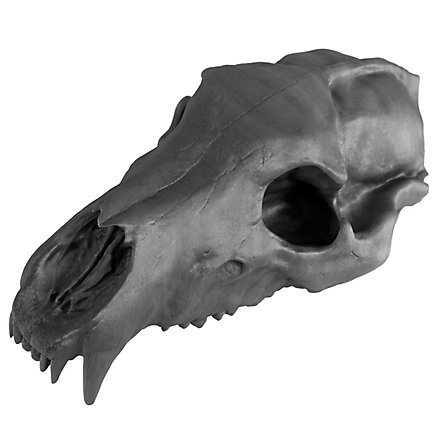 3D-printed Bear skull for self-painting (27cm) - andracor.com