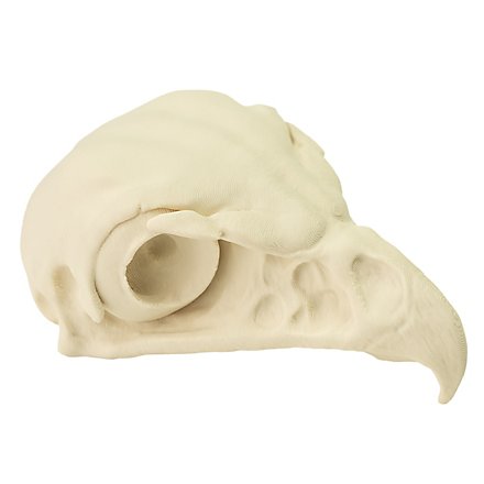 3D-printed hawk skull for self-painting (11cm) - andracor.com