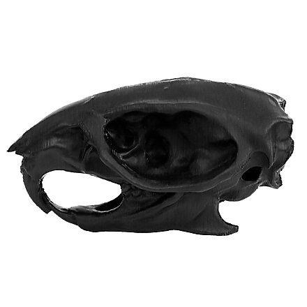 3D-printed rat skull for self-painting (7cm) - andracor.com