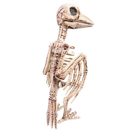 Bird Skeleton Halloween Deco - andracor.com