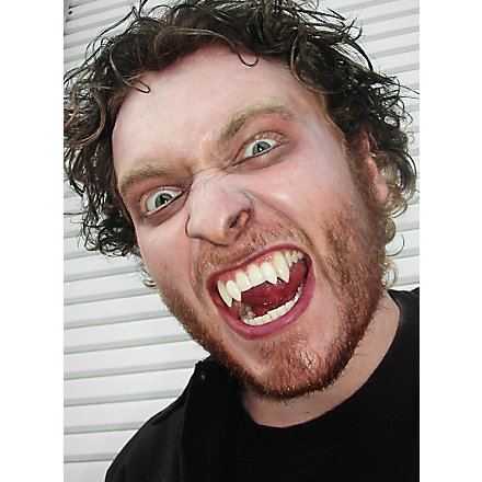 Werewolf teeth (4 pieces) - andracor.com