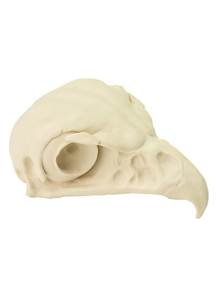 3D-printed hawk skull for self-painting (11cm) - andracor.com