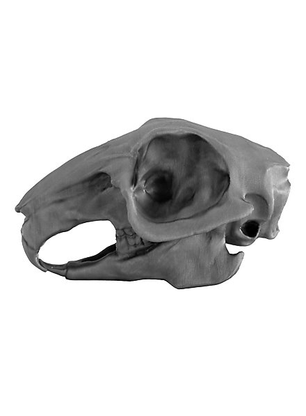 3D-printed rabbit skull for self-painting (10cm) - andracor.com