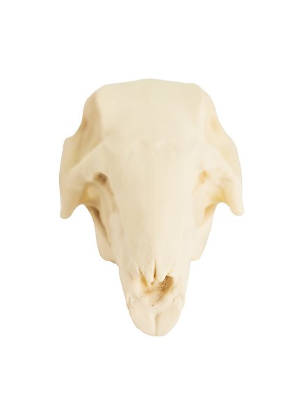 3D-printed rabbit skull for self-painting (10cm) - andracor.com