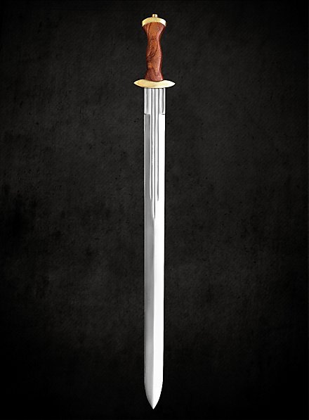 Swiss Degen - supremereplicas.com