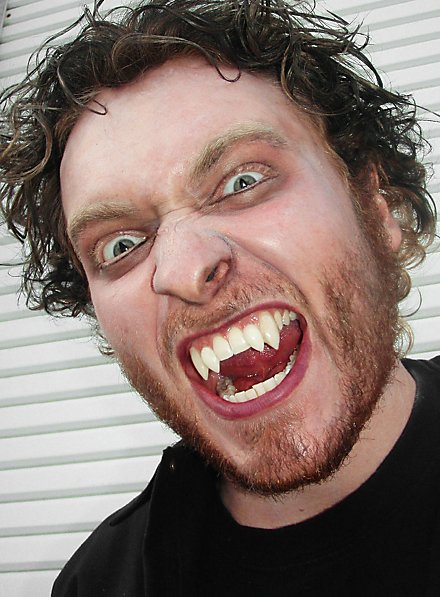 Werewolf teeth (4 pieces) - andracor.com