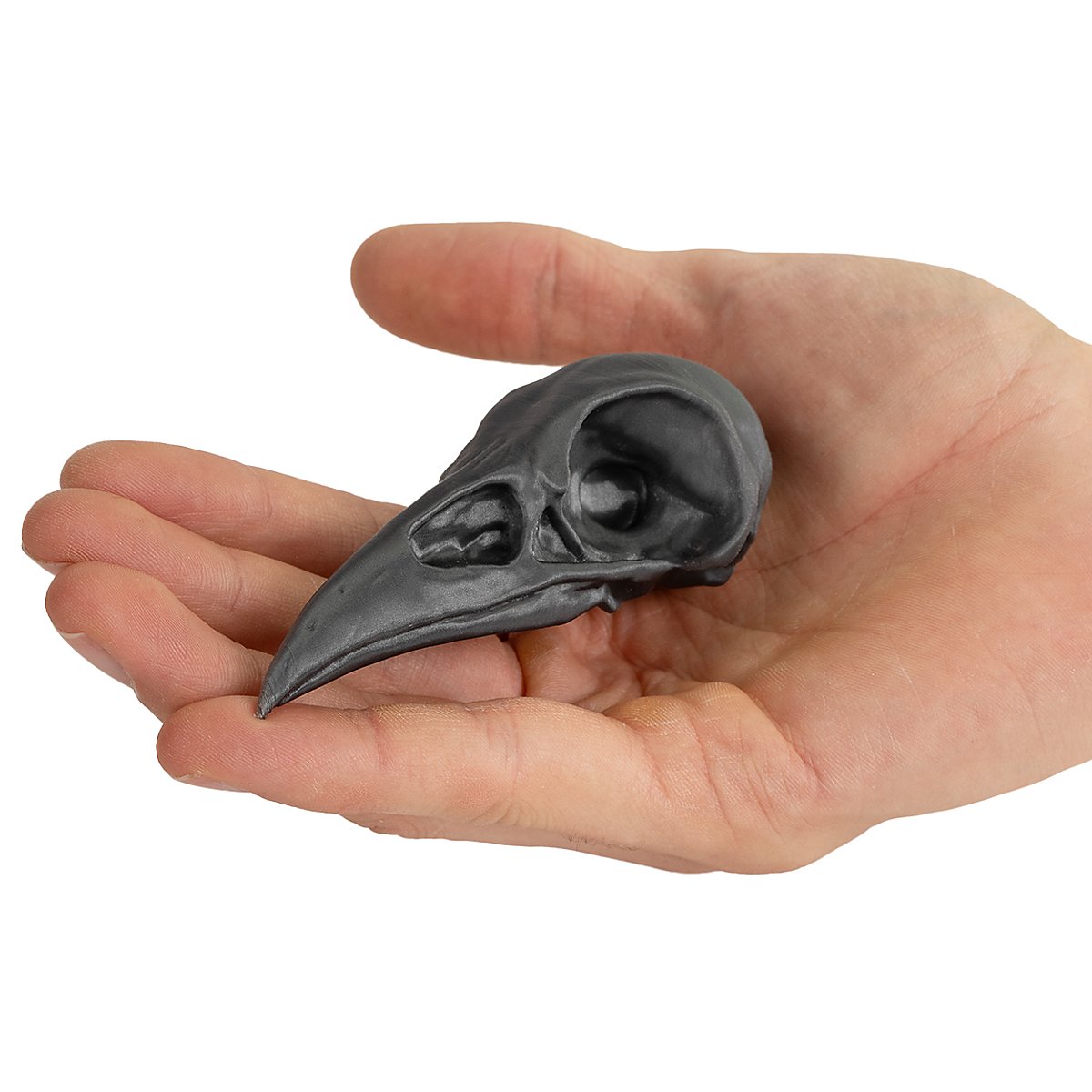 3D-printed raven skull for self-painting (10cm) - andracor.com