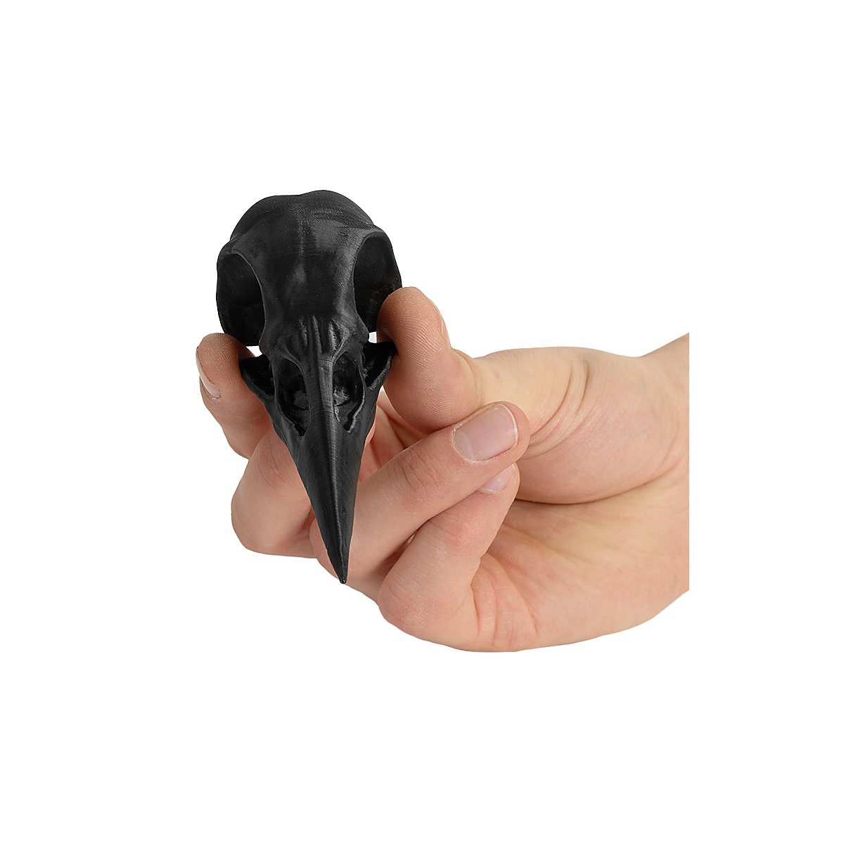 3D-printed raven skull for self-painting (10cm) - andracor.com
