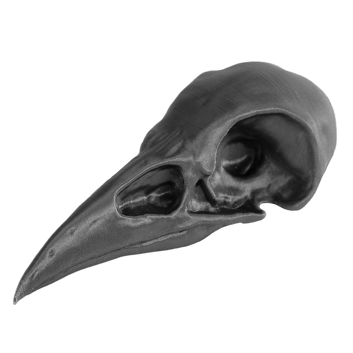 3D-printed raven skull for self-painting (10cm) - andracor.com