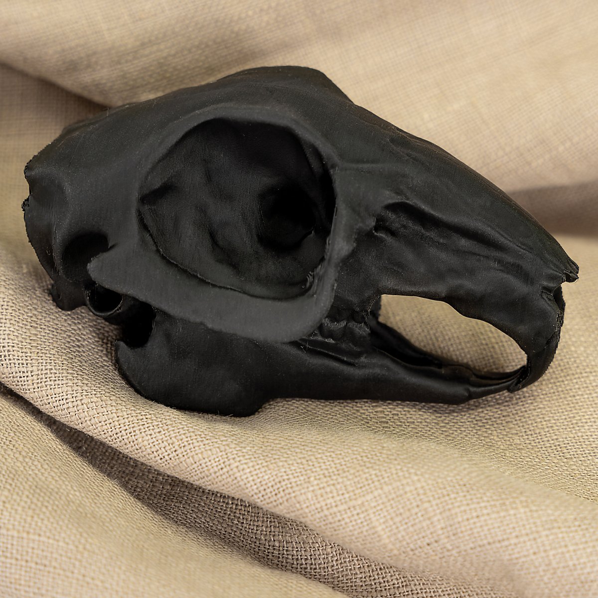3D-printed rabbit skull for self-painting (10cm) - andracor.com