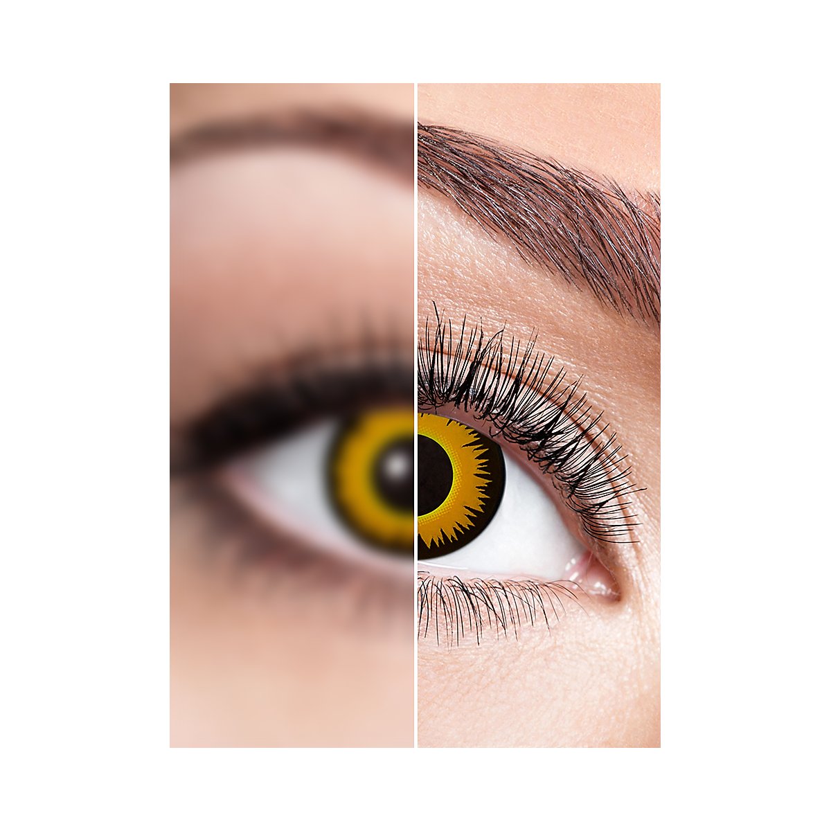 Leo contact lens with diopters - andracor.com