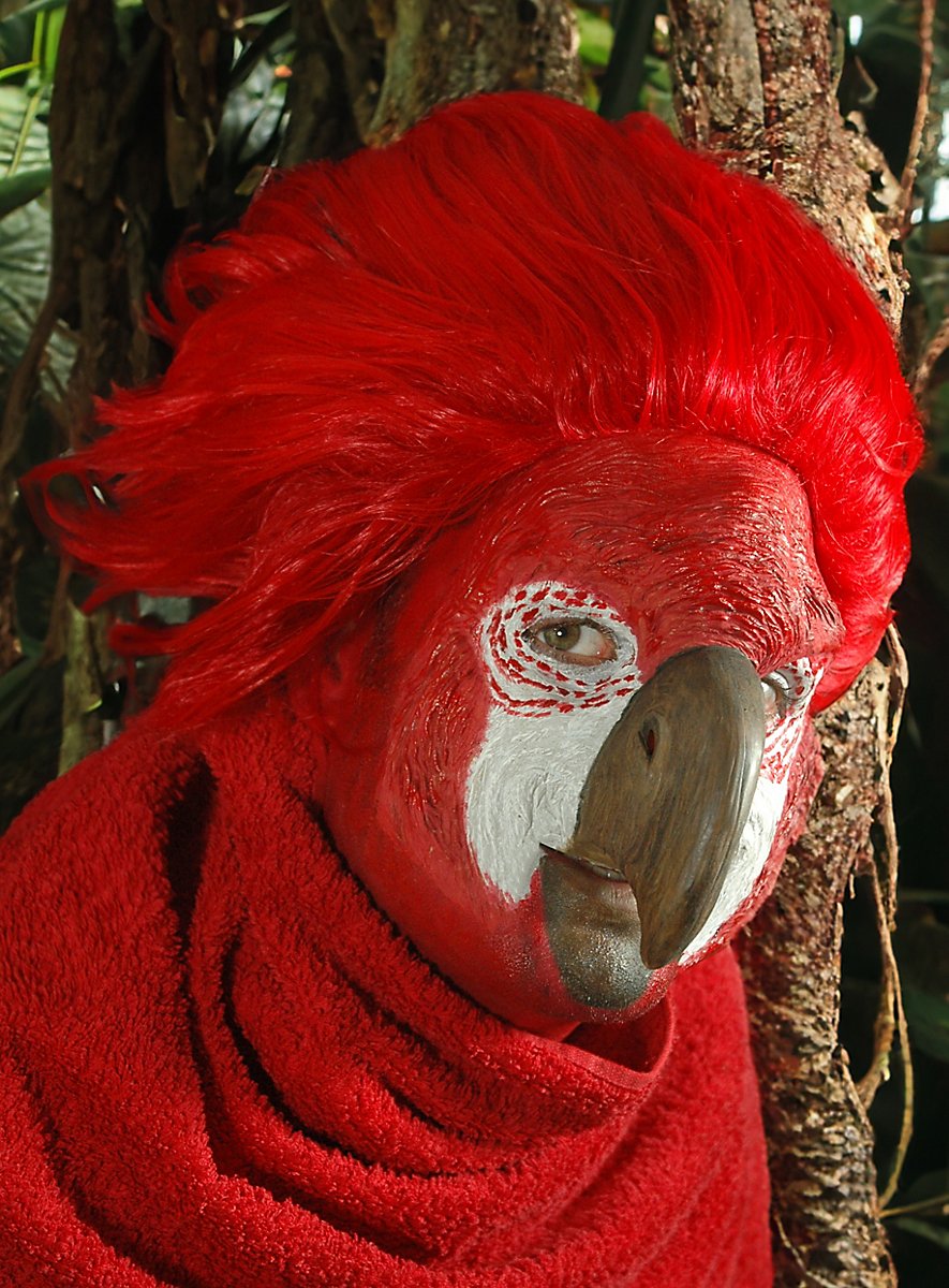 Parrot Latex Mask to stick on - andracor.com