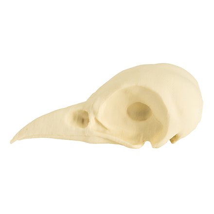 3D-printed crow skull for self-painting (7cm) - blasterparts.com