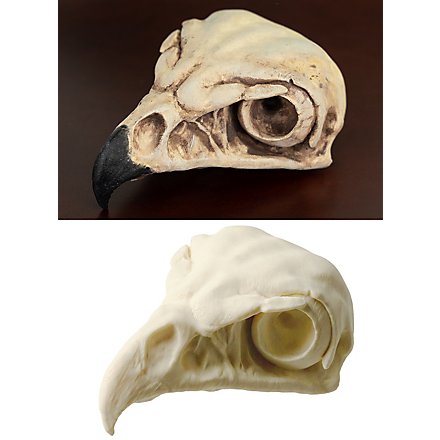 3D-printed hawk skull for self-painting (11cm) - blasterparts.com