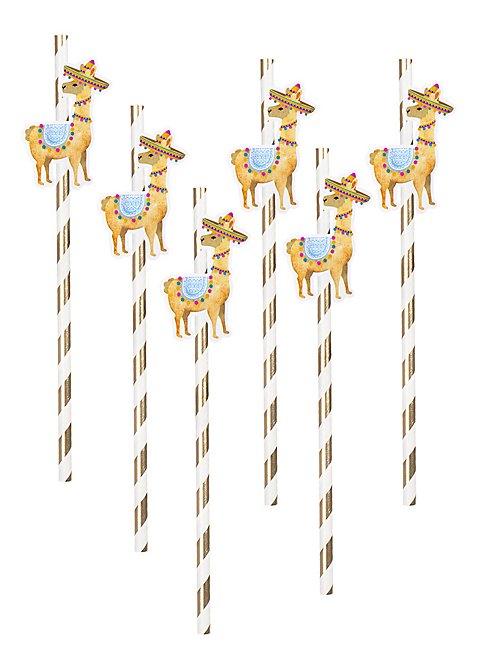 Lama Party Deko Set 48-teilig für 6 Personen - maskworld.com