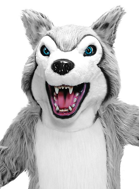 Wilder Husky Maskottchen - maskworld.com