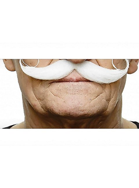 Zwirbelbart Schnurrbart - maskworld.com