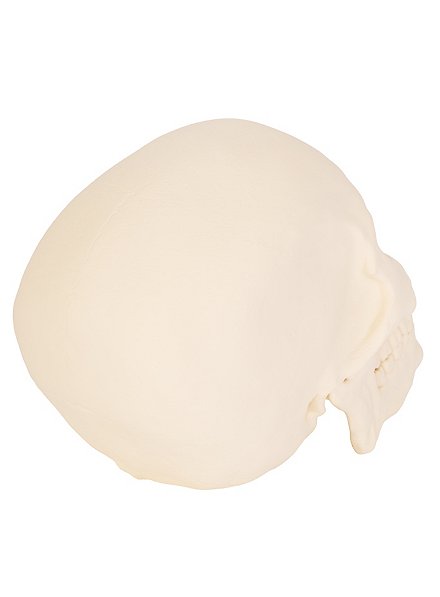 3D Print - Human Skull for Painting - maskworld.com