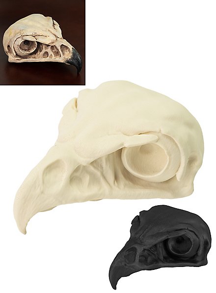 3D-printed hawk skull for self-painting (11cm) - maskworld.com
