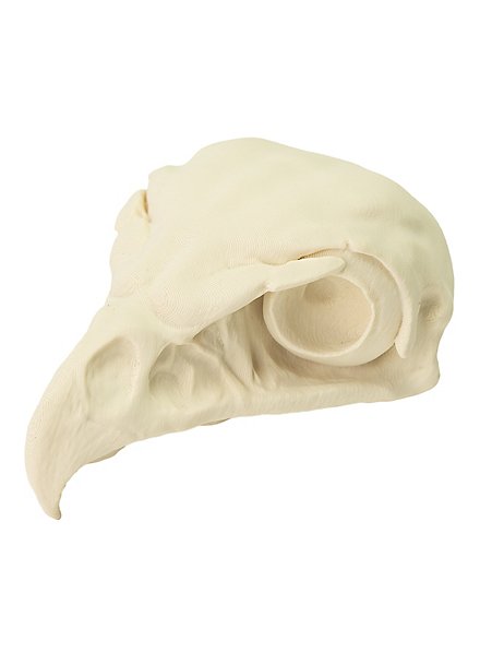 3D-printed hawk skull for self-painting (11cm) - maskworld.com