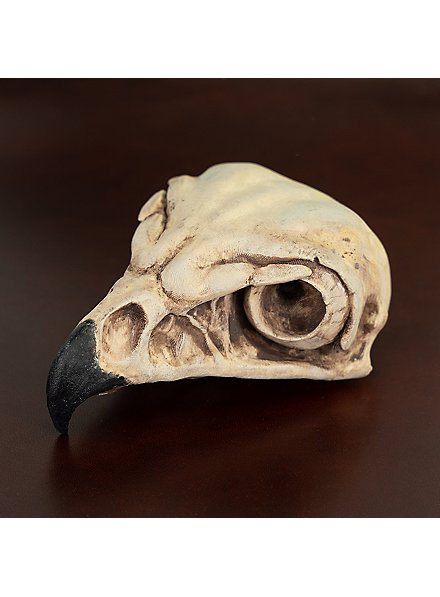3D-printed hawk skull for self-painting (11cm) - maskworld.com