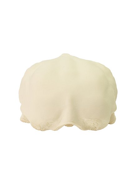 3D-printed hawk skull for self-painting (11cm) - maskworld.com