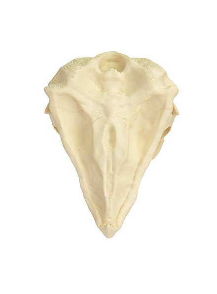 3D-printed hawk skull for self-painting (11cm) - maskworld.com