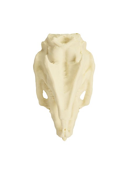 3D-printed rat skull for self-painting (7cm) - maskworld.com