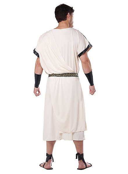 Ancient Toga for Men - maskworld.com