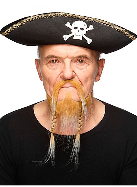 Barba Trenzada En Punta - maskworld.com