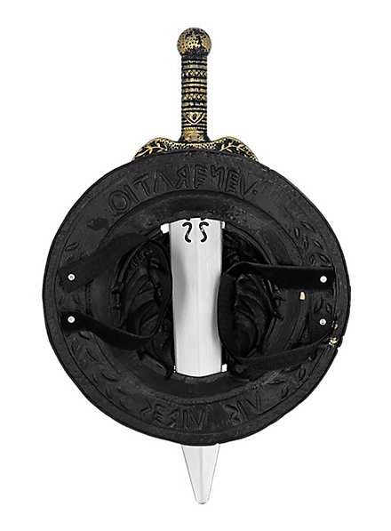 Barbarian sword and shield for children - maskworld.com