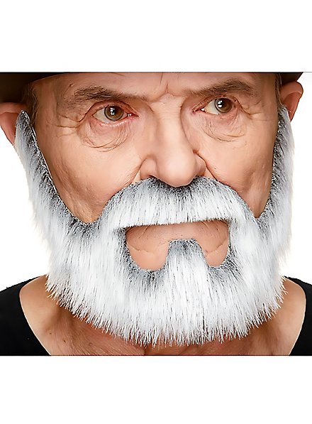 Barbe complète classique - maskworld.com