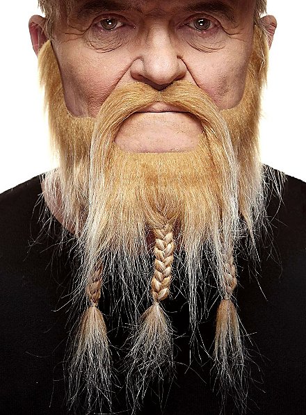 Barbe pointue tressée - maskworld.com