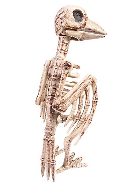 Bird Skeleton Halloween Deco - maskworld.com