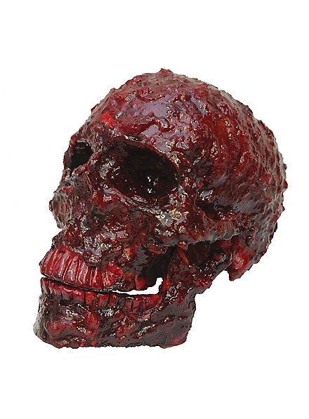 Decoración De Calavera Con Costras - maskworld.com
