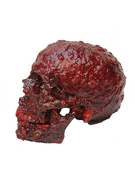 Decoración De Calavera Con Costras - maskworld.com