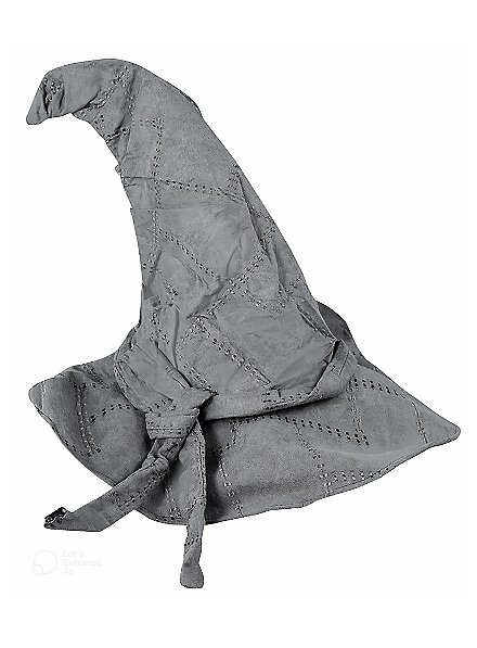 Gray Wizard Hat - maskworld.com