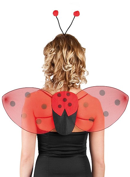 Ladybird accessory set - maskworld.com