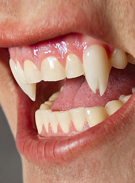 Monster teeth snake - maskworld.com