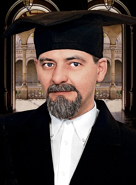 Professor Professional Beards Made of Real Hair - maskworld.com