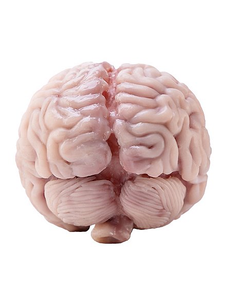 Small brain made of silicone (12 cm) - maskworld.com