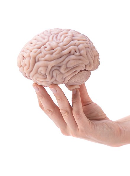 Small brain made of silicone (12 cm) - maskworld.com