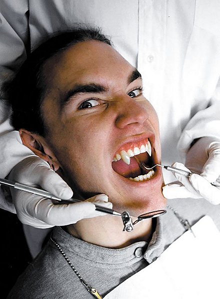 Vampire teeth long - maskworld.com