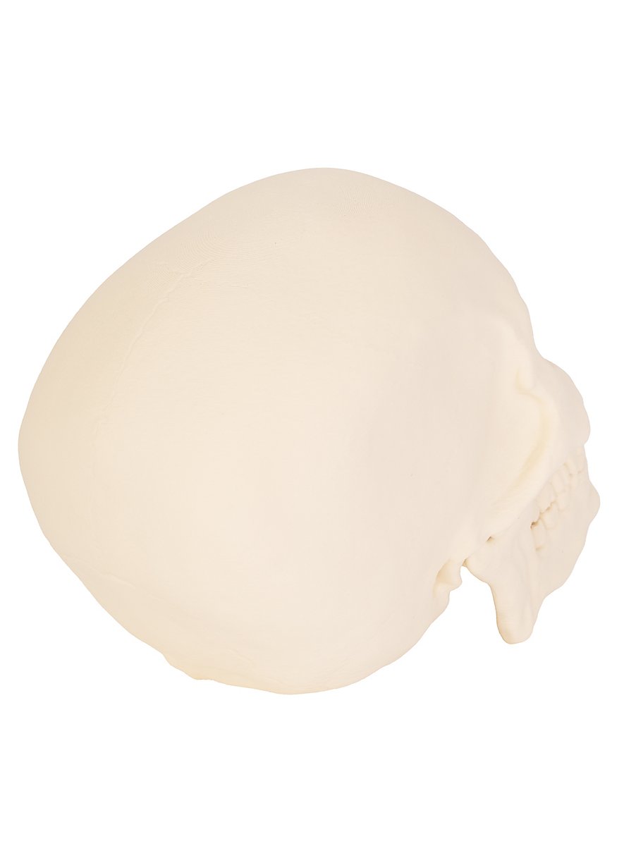 3D Print - Human Skull for Painting - maskworld.com