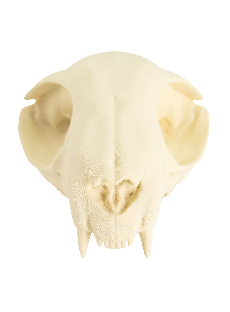 3D-printed cat skull for self-painting (12cm) - maskworld.com