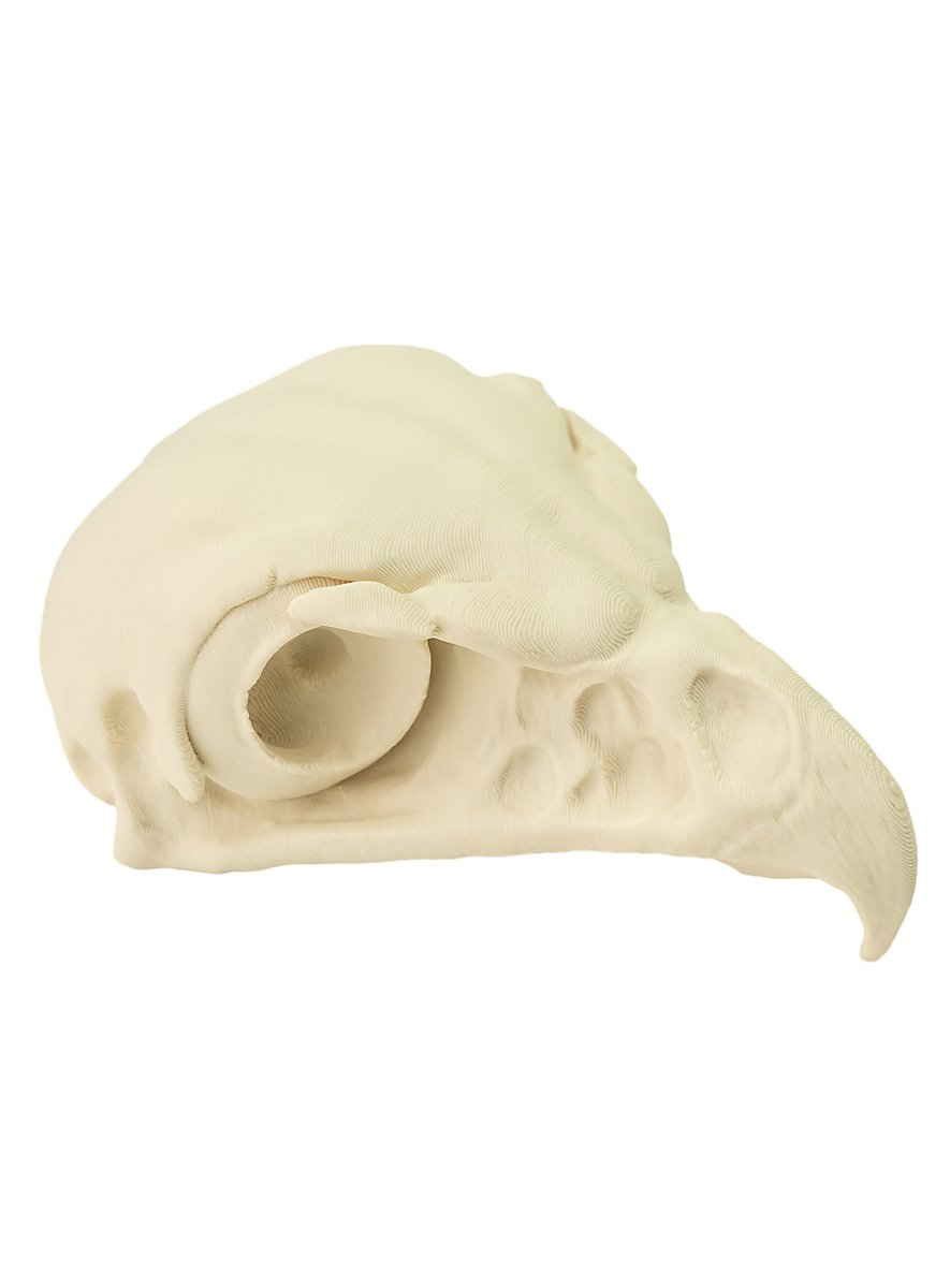 3D-printed hawk skull for self-painting (11cm) - maskworld.com