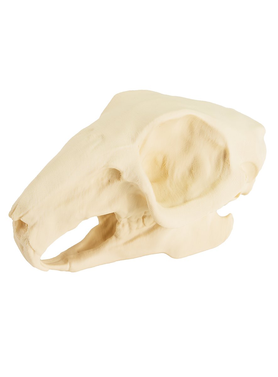 3D-printed rabbit skull for self-painting (10cm) - maskworld.com