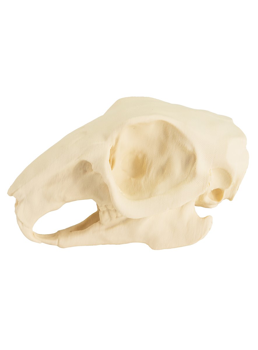 3D-printed rabbit skull for self-painting (10cm) - maskworld.com