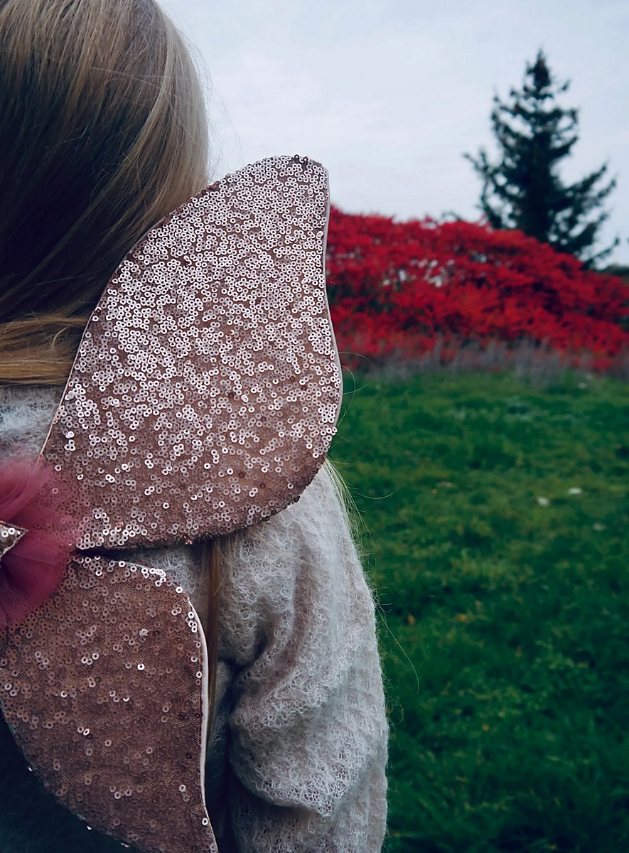 Alas De Hada Con Lentejuelas Aurelia Rosa Antiguo - maskworld.com