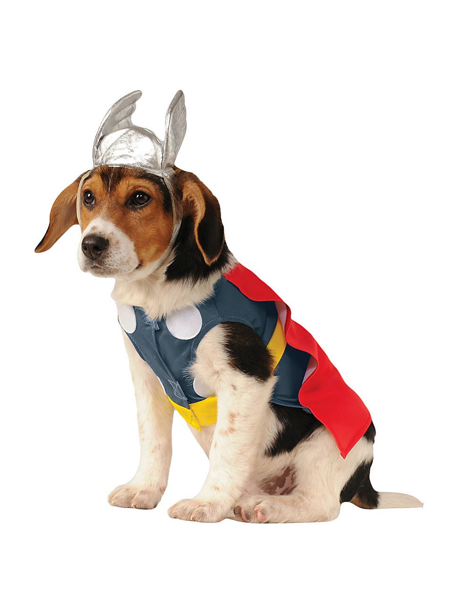 Costume da Thor per cane - maskworld.com